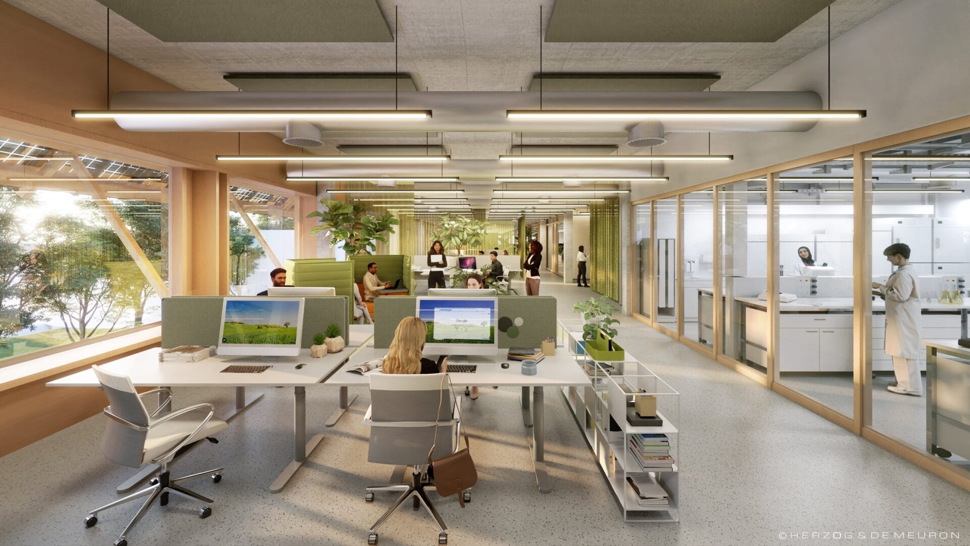 Warum das Botnar Institute of Immune Engineering ins ALL zieht - SENN